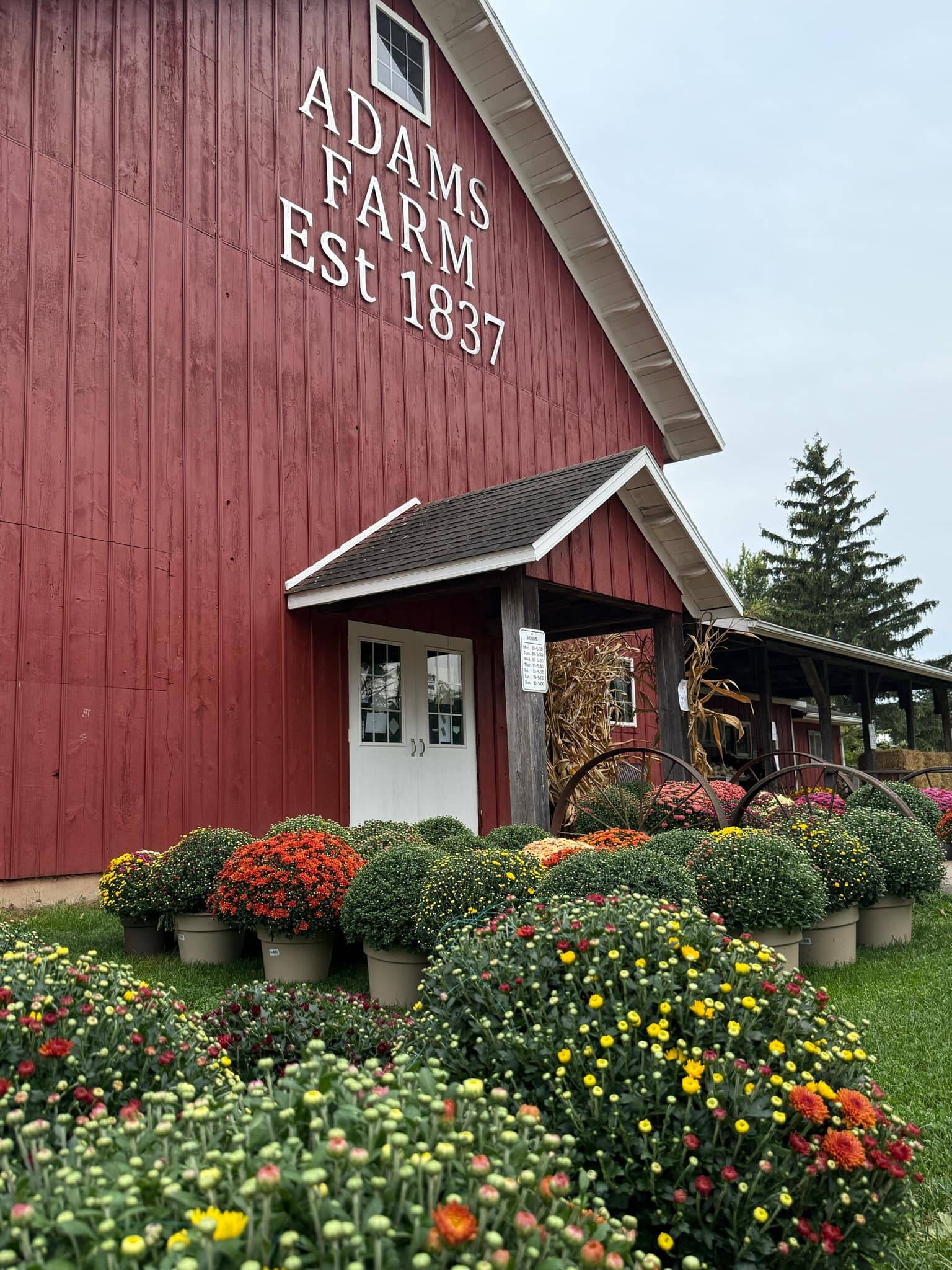 Fall is here! Apples, pumpkins, squash and so much MORE!